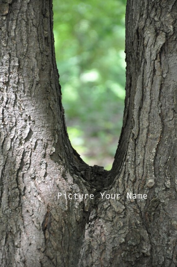 Items similar to Nature photo of U. Alphabet photography - U photo ...