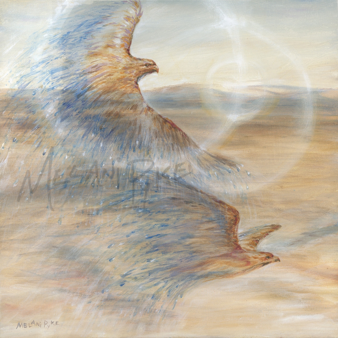 Two Hawks in Flight Original Acrylic Painting Watering Dry Desert ...
