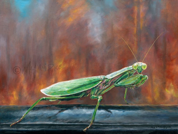 Praying Mantis With Forest Fire Original Oil Painting or - Etsy