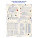 ADHD Daily & Weekly Printable Planner - Gamified Dopamine Quest PDF ...