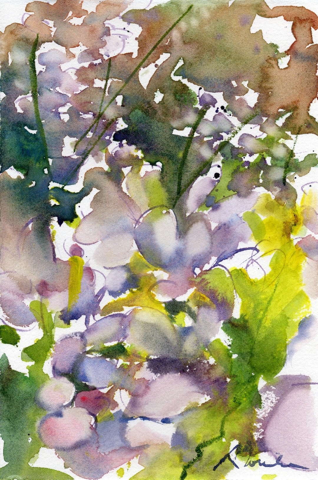 Fresh Pick No.90, Limited Edition of 50 Fine Art Giclee Prints - Etsy