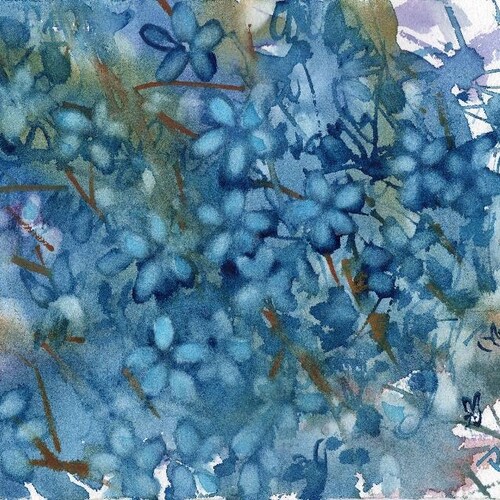 Fresh Pick No.45 Limited Edition of 50 Fine Art Giclee Prints - Etsy