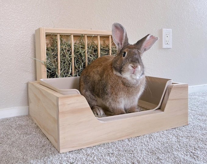 Modern Rabbit Litter Box Enclosure With Hay Feeder | Rabbit Furniture ...