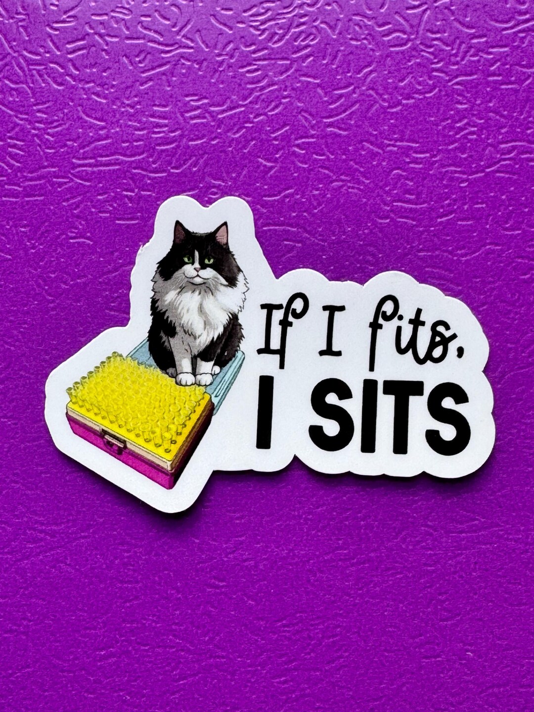 Cat in a Pipette Box Lab Sticker: If I Fits I Sits | Waterproof Biology ...
