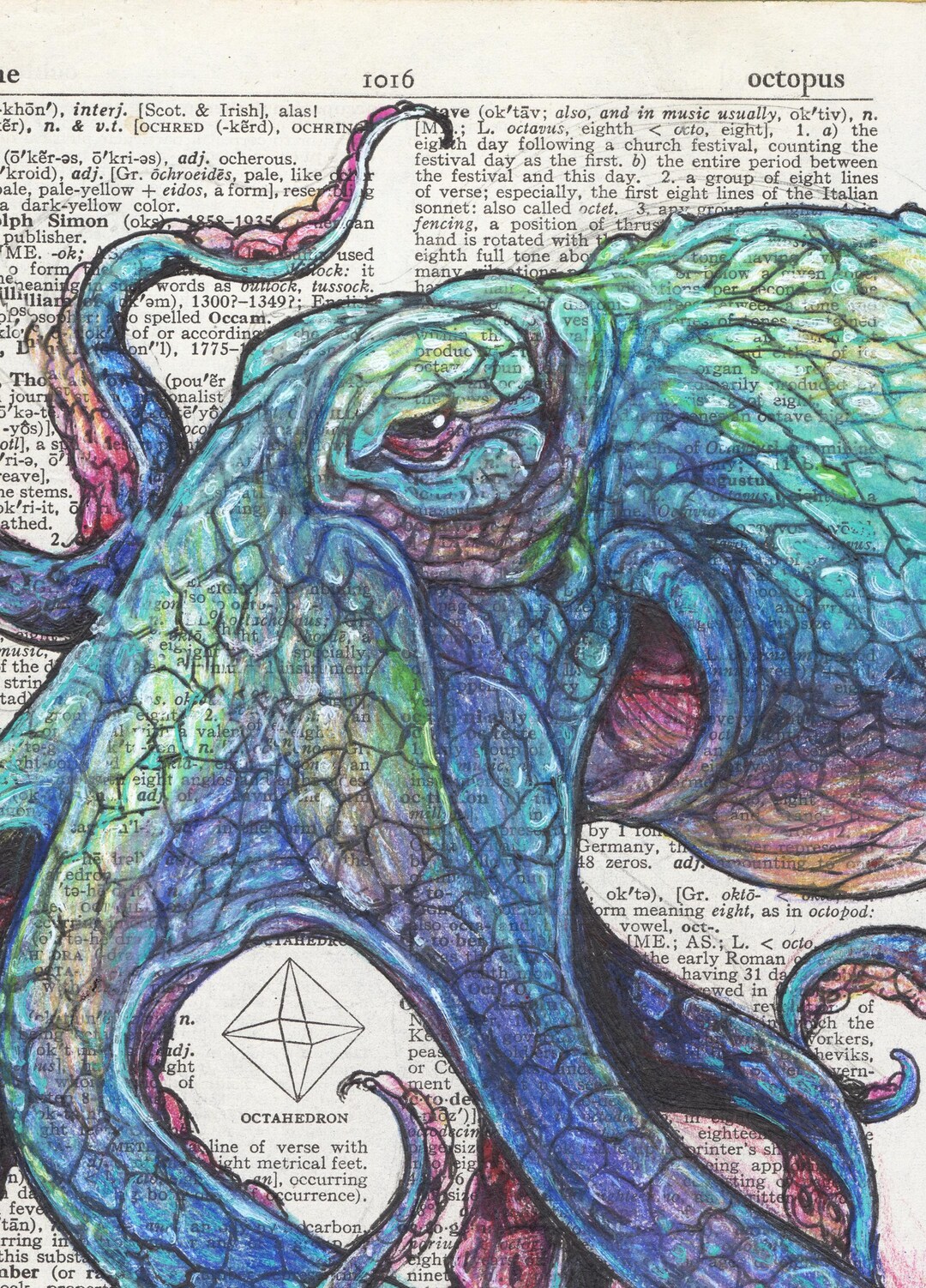 Sunken Treasure - Octopus Illustration on Dictionary for Coastal Living ...
