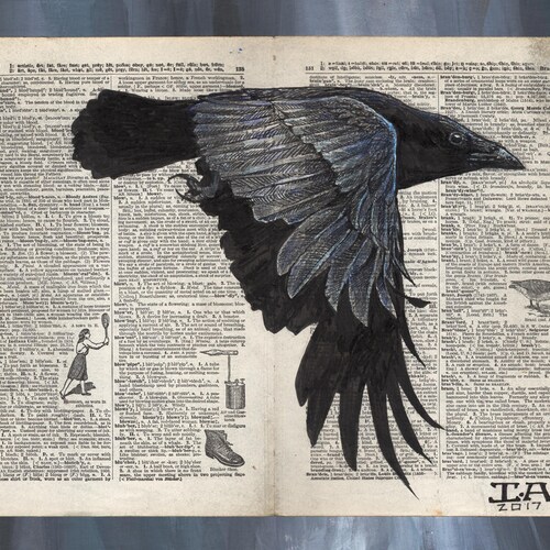 Crow in Flight Illustration on Vintage Dictionary Page - Etsy
