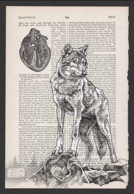 Stoic Wolf Portrait on Vintage Encyclopedia page Museum | Etsy