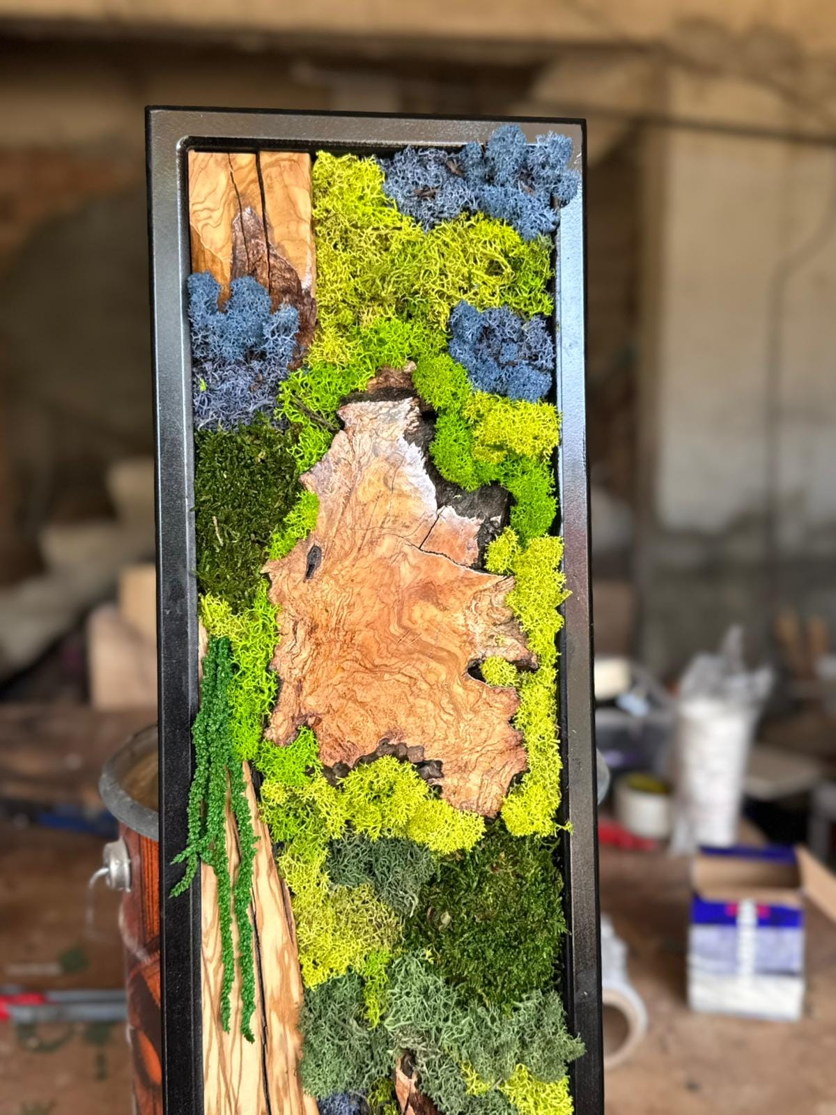 Custom Made Moss and Olive Wood Wall Art, Metal Frame Moss Wall Decor ...