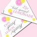 Lemon Party Printables, Lemonade Stand Sign, Lemon Party Decor ...