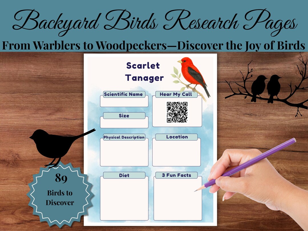 Backyard Birds Research Worksheets With QR Codes: Homeschool Nature ...