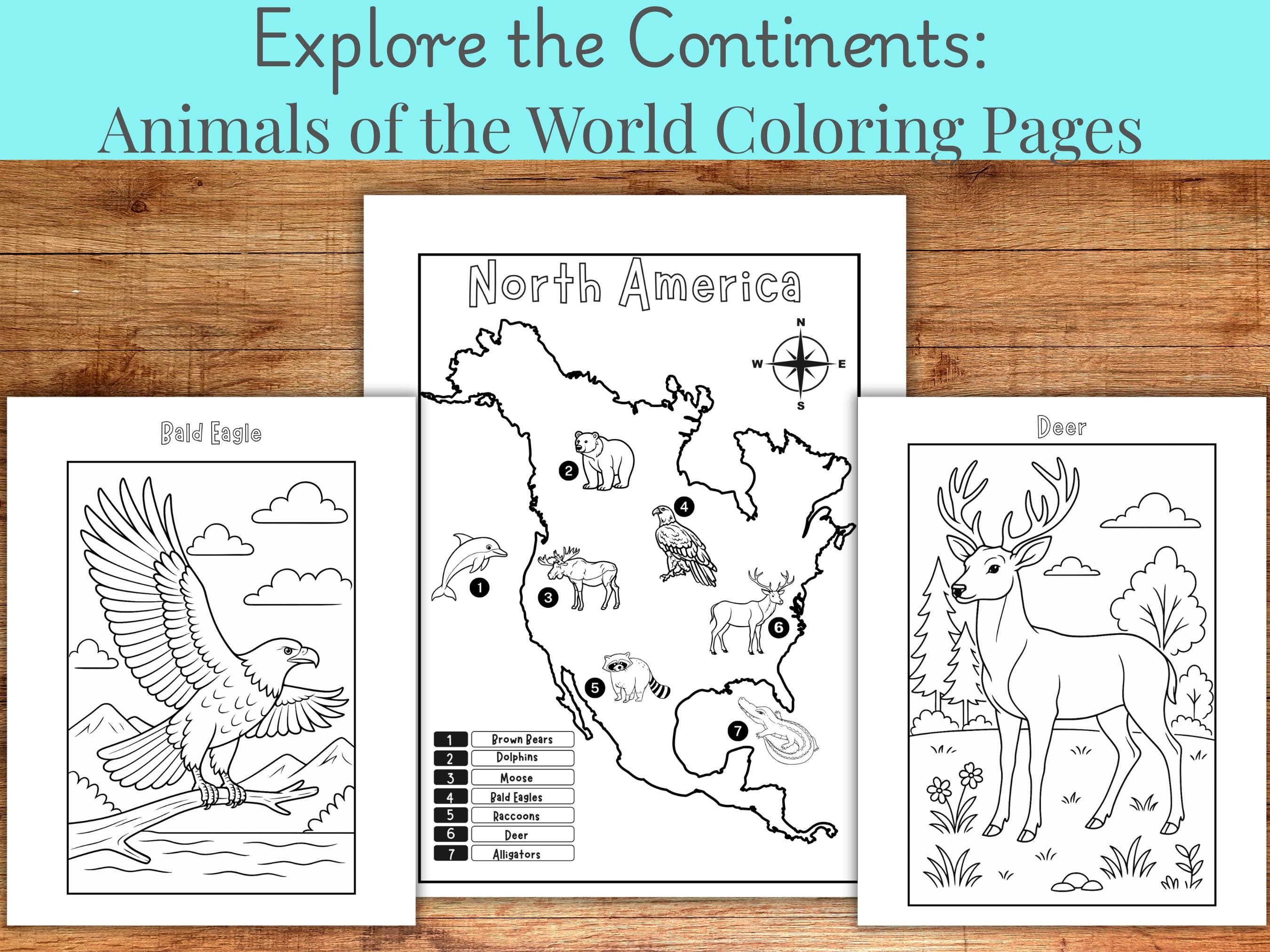 Animals of the World Coloring Pages: Educational Geography Bundle (PDF ...