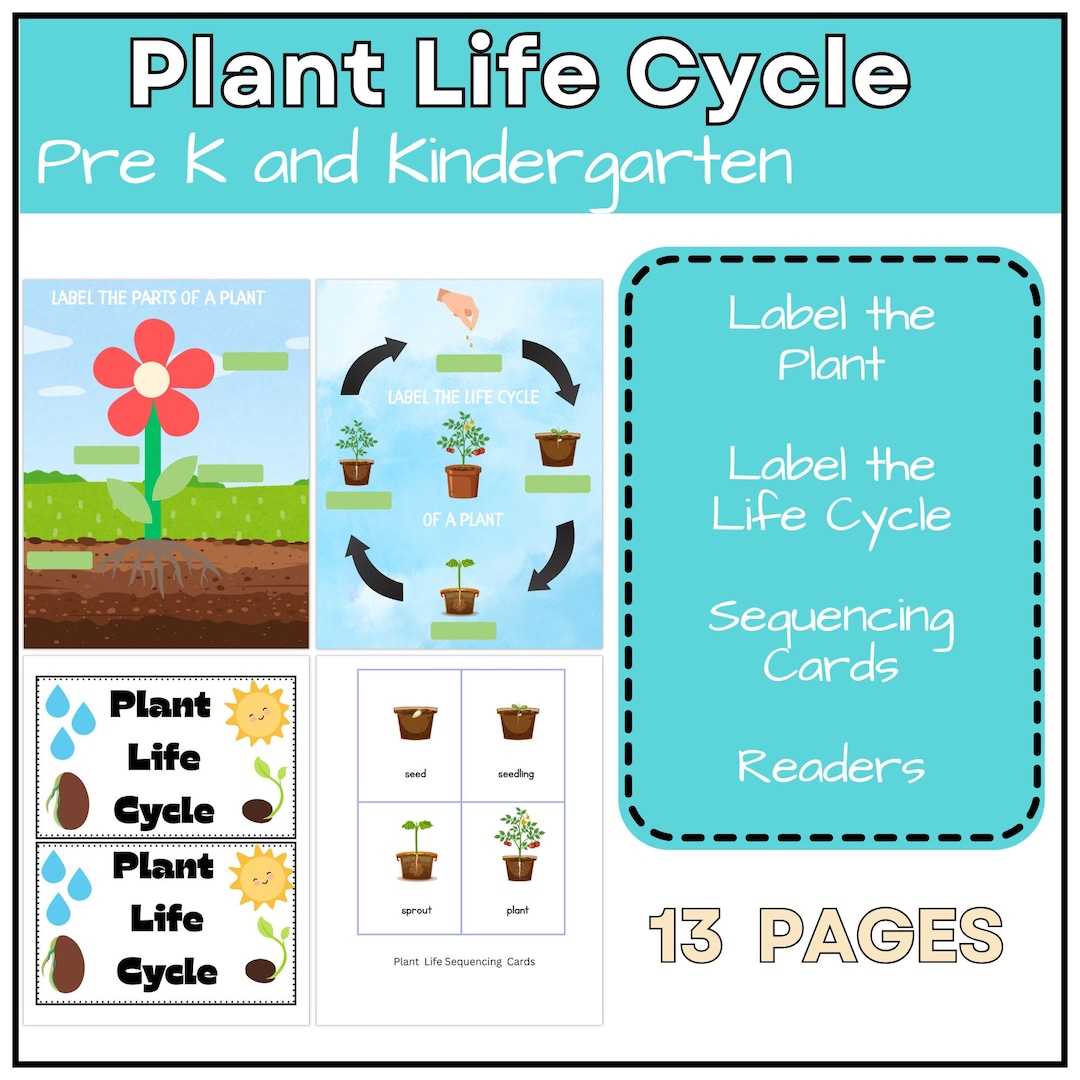 Printable Preschool Plant Learning Bundle - Etsy