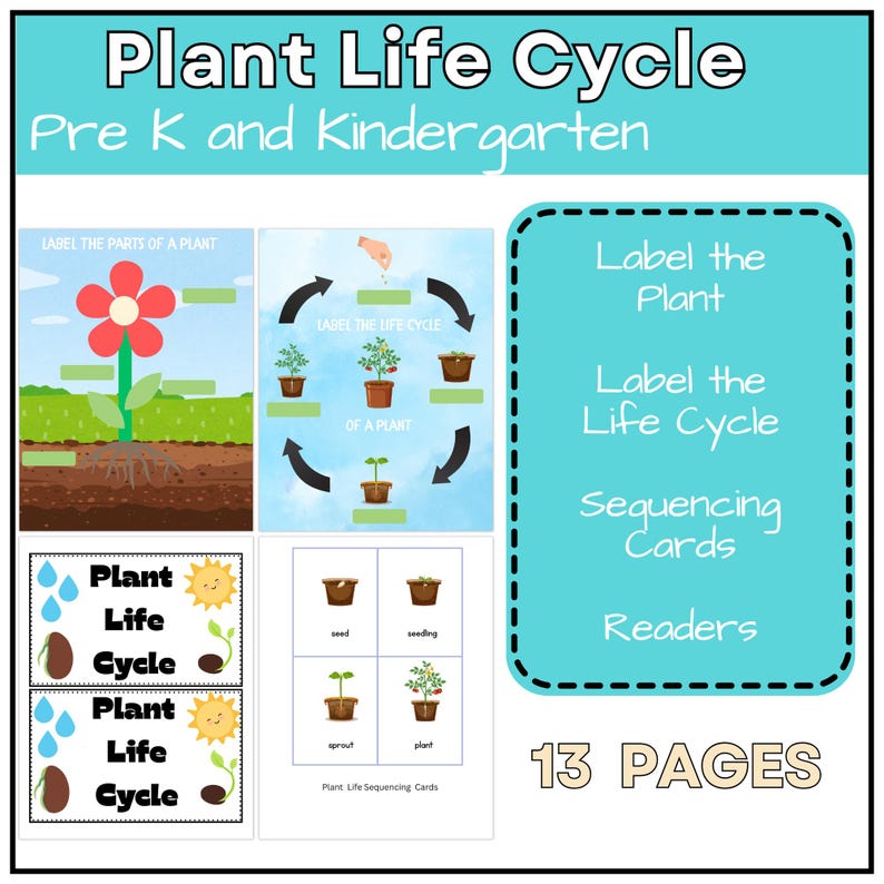 Printable Preschool Plant Learning Bundle - Etsy