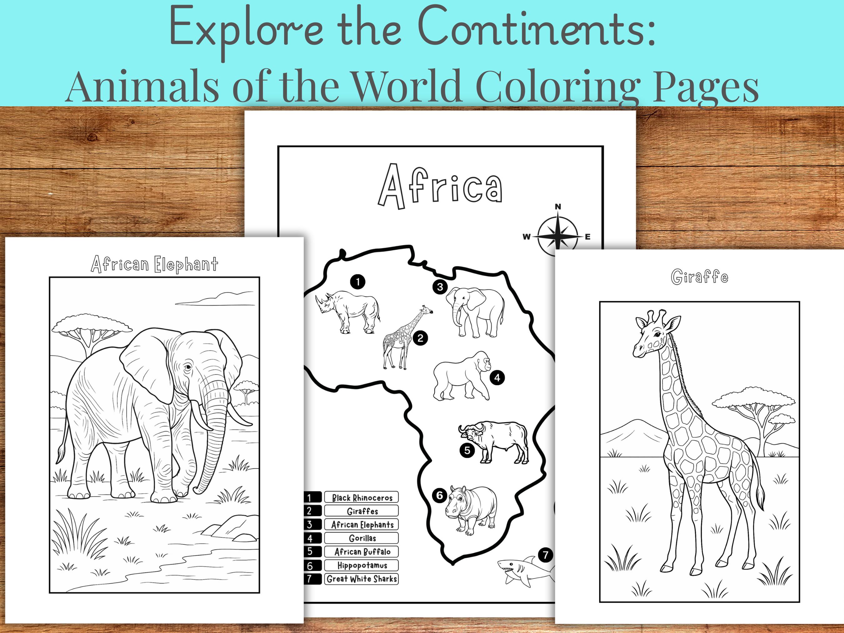 Animals of the World Coloring Pages: Educational Geography Bundle (PDF ...