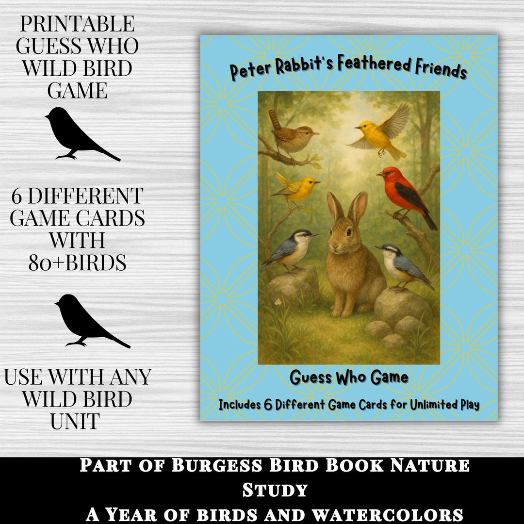 Burgess Bird Book Game: Printable Bird Identification for Kids - Etsy