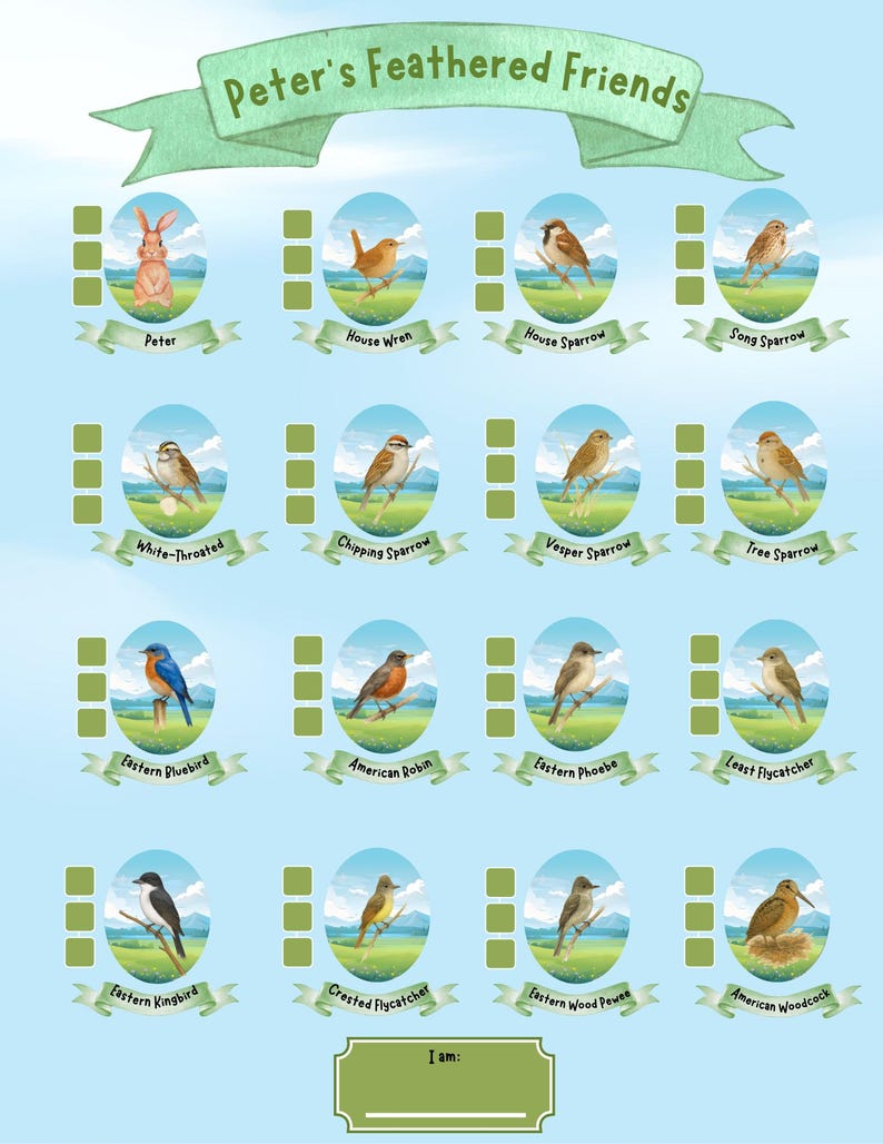 Burgess Bird Book Game: Printable Bird Identification for Kids - Etsy