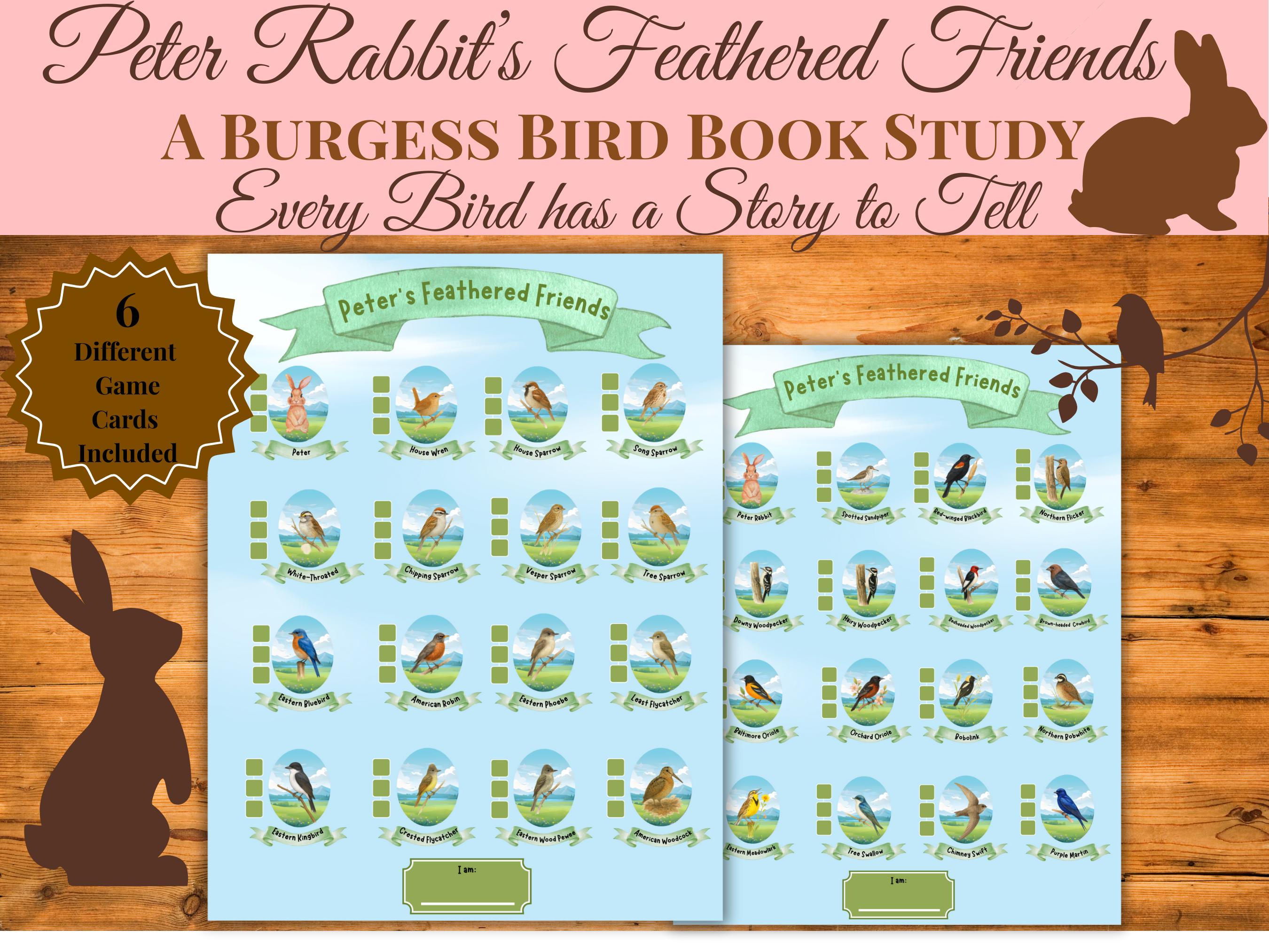 Burgess Bird Book Nature Study Bundle | Yearlong Homeschool Workbook ...