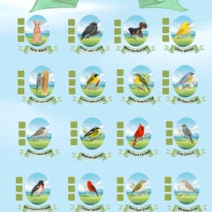 Burgess Bird Book Game: Printable Bird Identification for Kids - Etsy