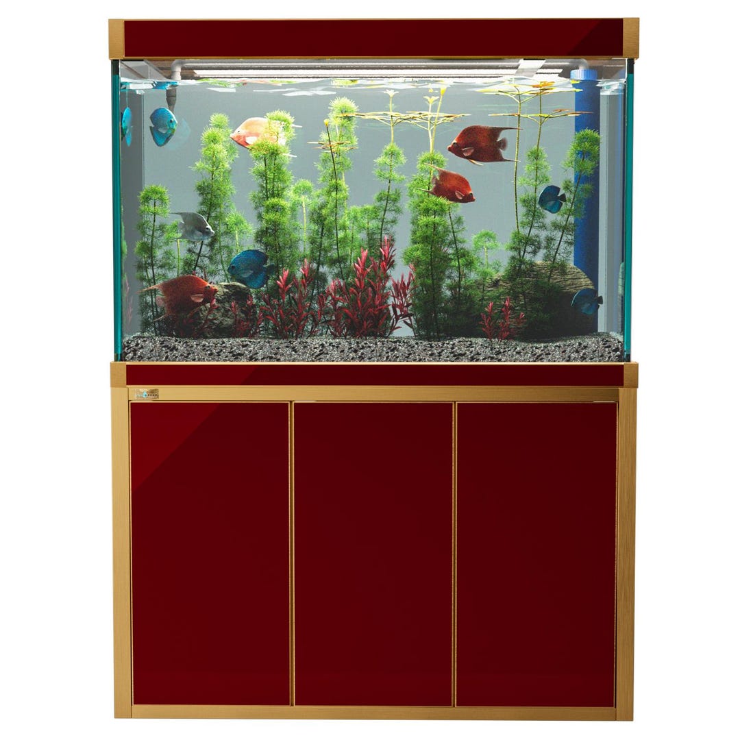 175 Gallon Fish Tank