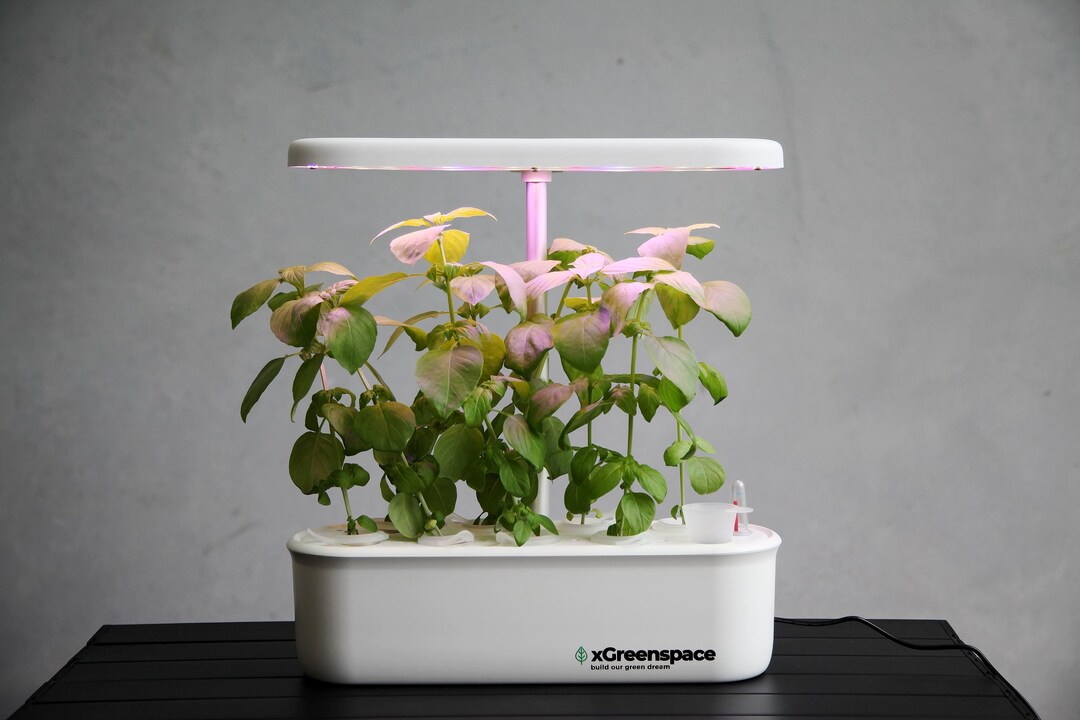 Table Hydroponic Device Miniblock 8pc - C08 - Etsy