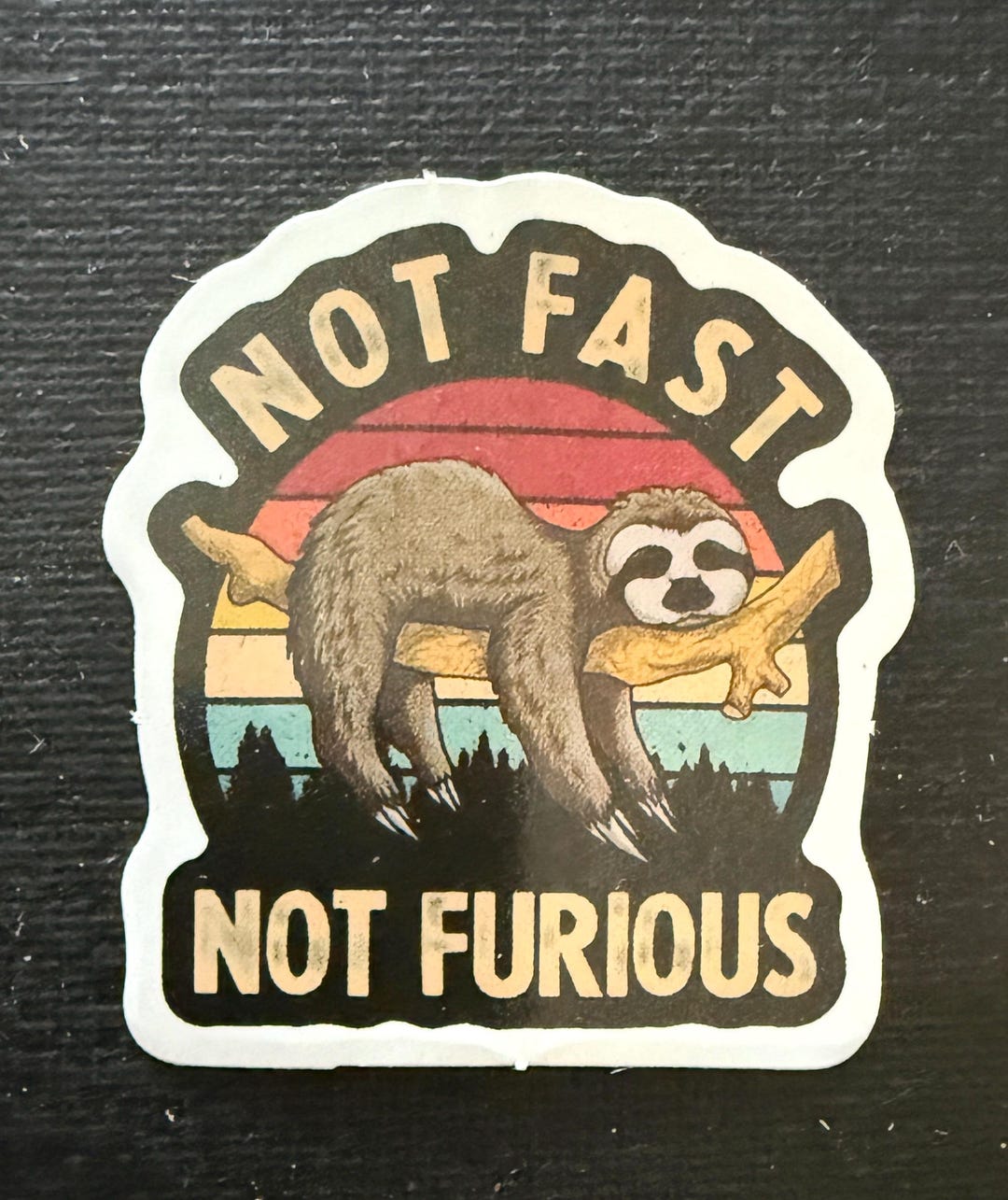 Not Fast Not Furious Vinyl Sticker - Etsy