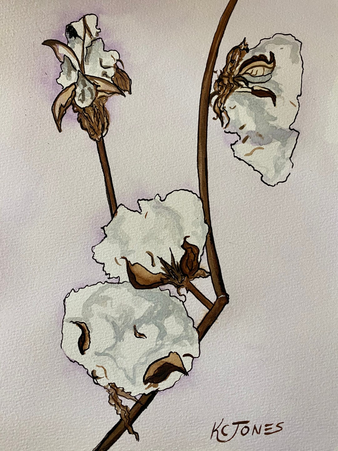 Cotton Bolls Stem | 9 X 12 Inch PRINT Watercolor and Ink Mixed Media ...