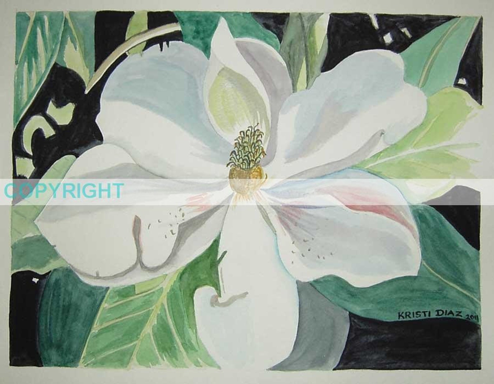 Louisiana Magnolia III | 11 X 14 Signed Art Print by Louisiana Artist ...