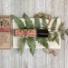 Headache Kit Aromatherapy for Headaches Headache Gift Natural Headache ...