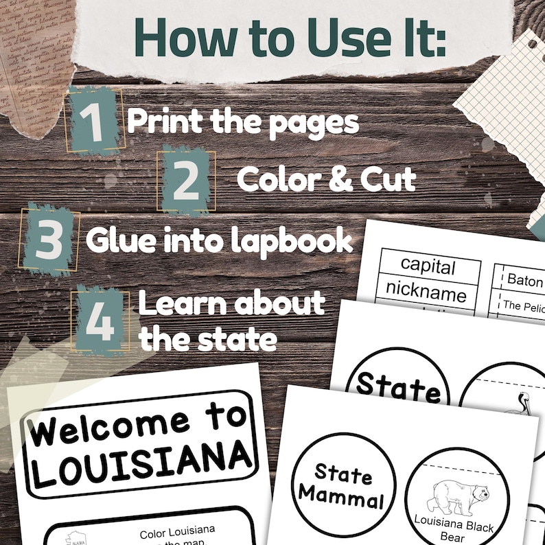 Louisiana State Lapbook: Printable Geography and History Notebook Pages ...