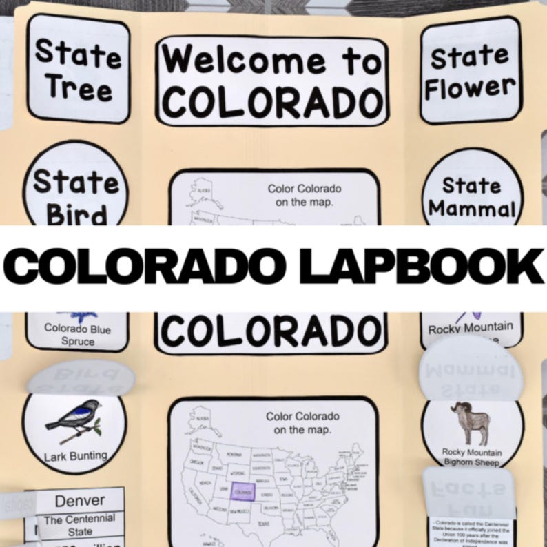 Colorado State Lapbook: Printable Geography and History Notebook Pages ...