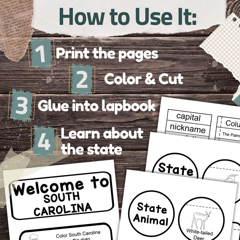 South Carolina State Lapbook: Printable Geography and History Notebook ...