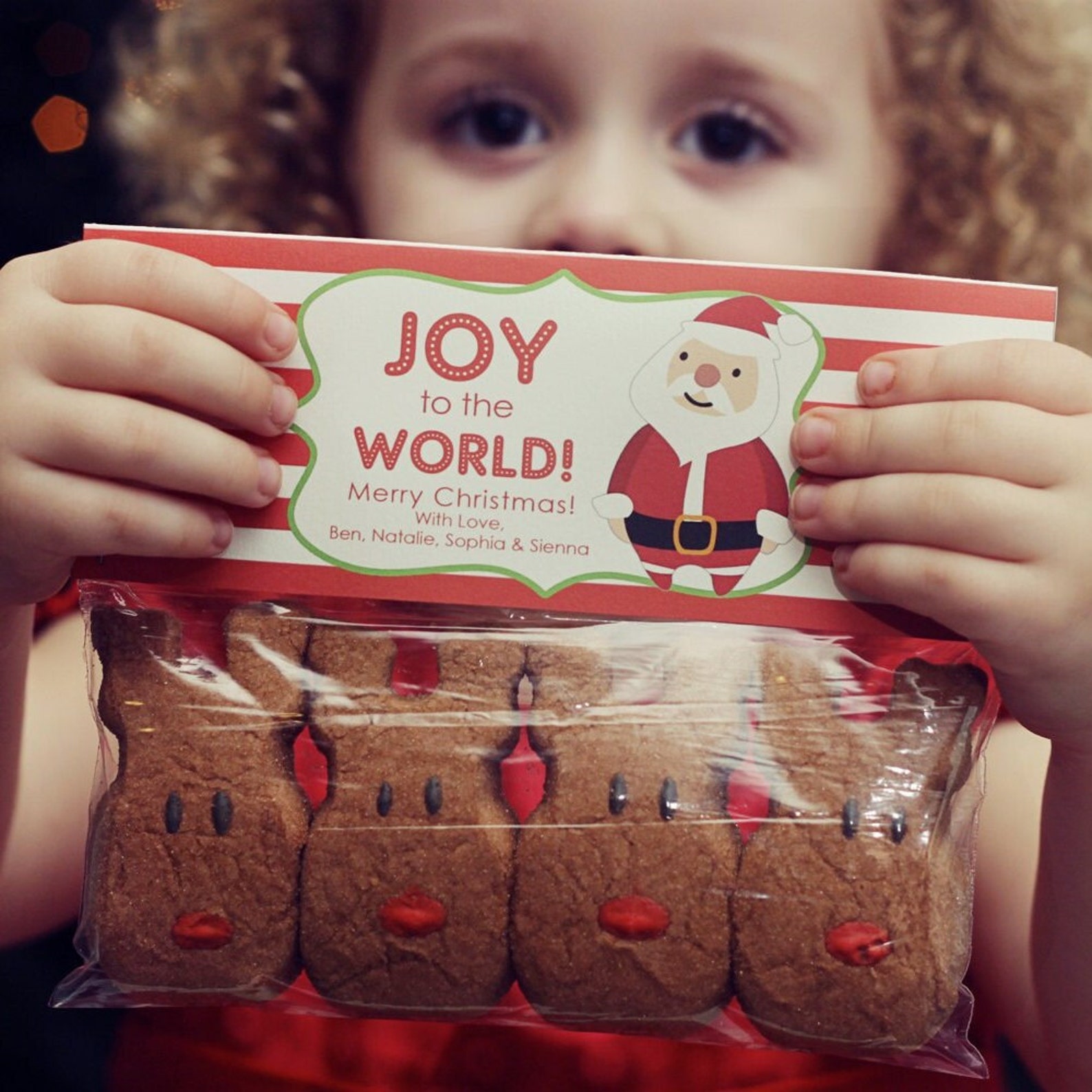 INSTANT Download- Santa-christmas Treat Bag Tags - Printable PDF - Etsy