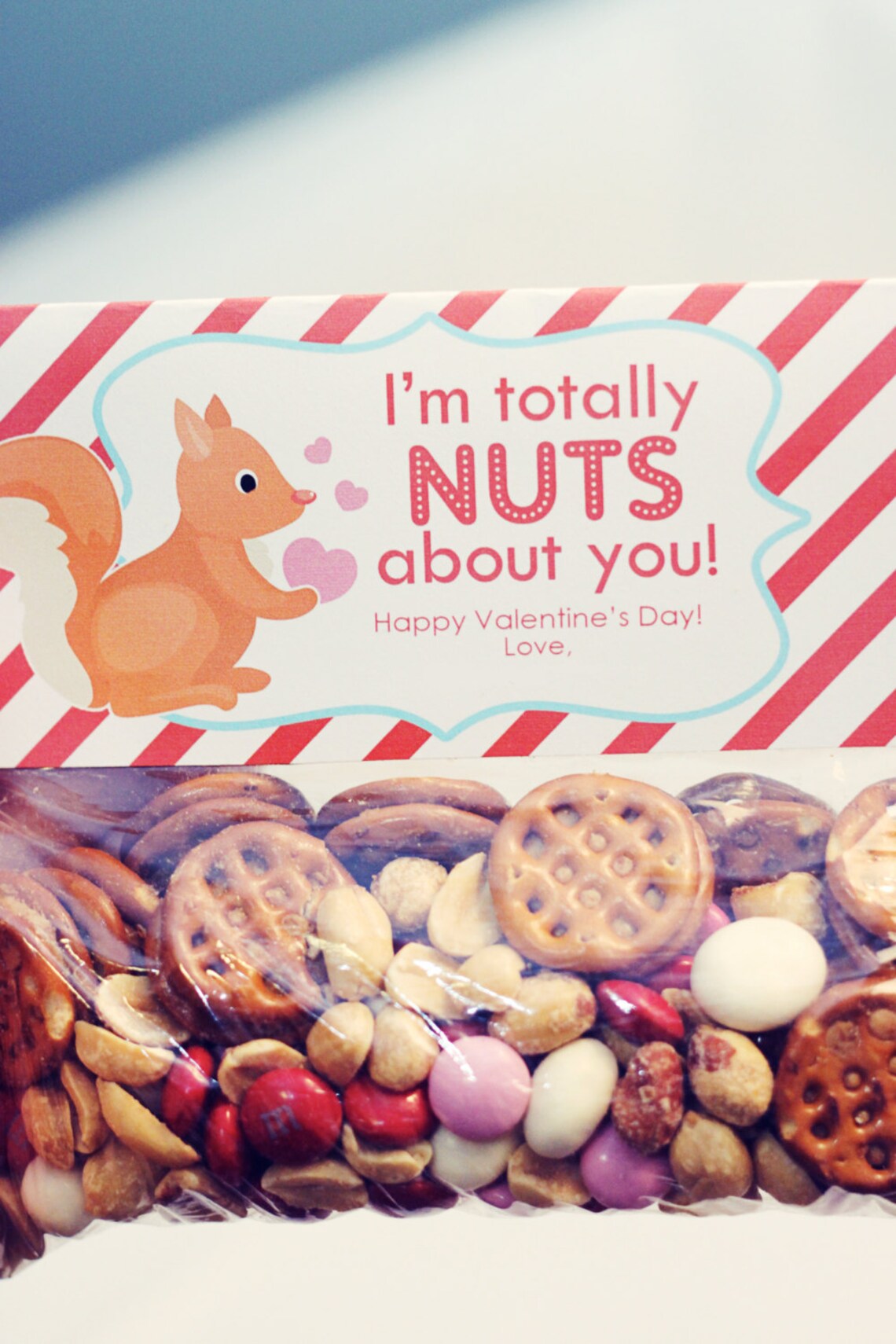 INSTANT Download-valentine's Day Treat Bag Tags: NUTS - Etsy