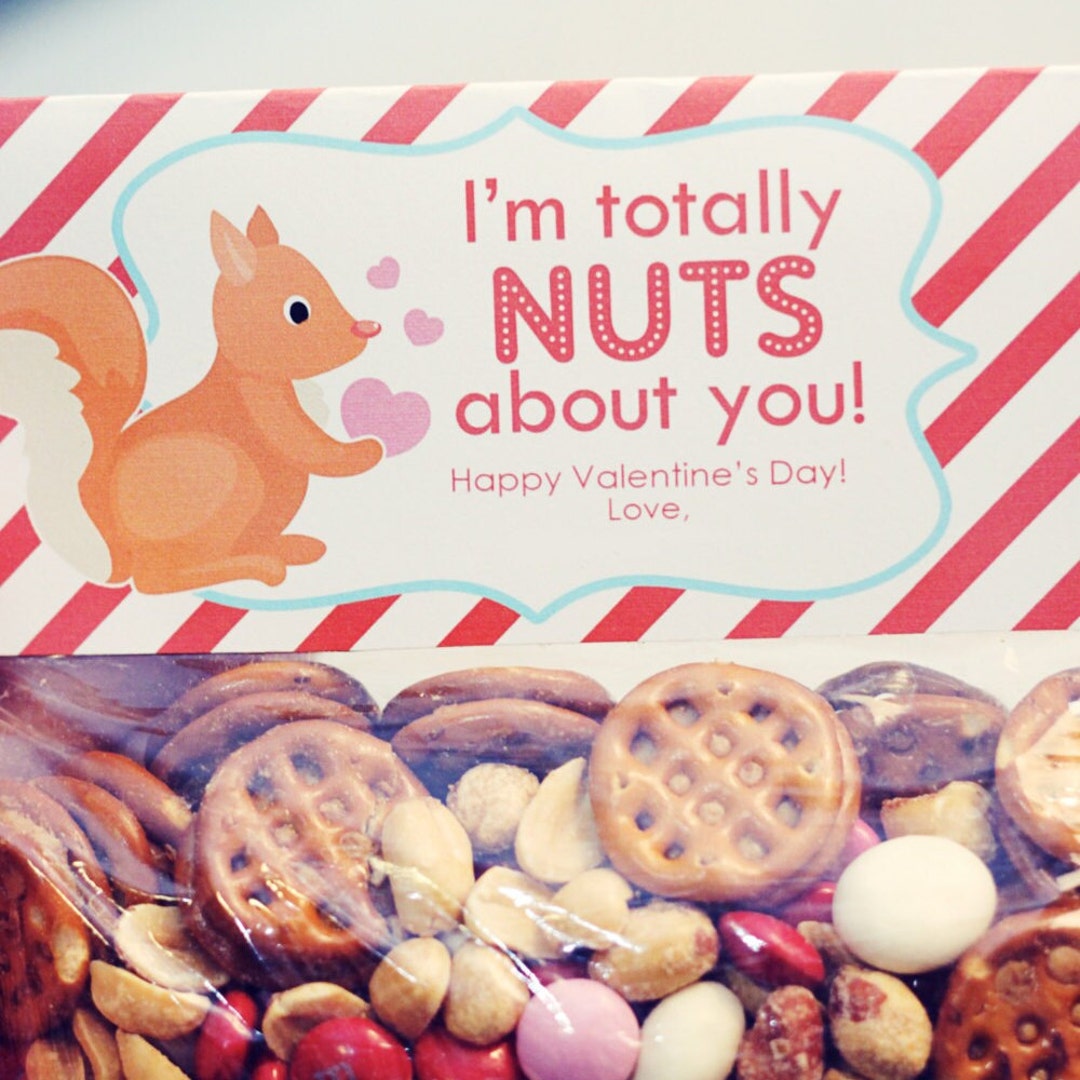 INSTANT Download-valentine's Day Treat Bag Tags: NUTS About You ...