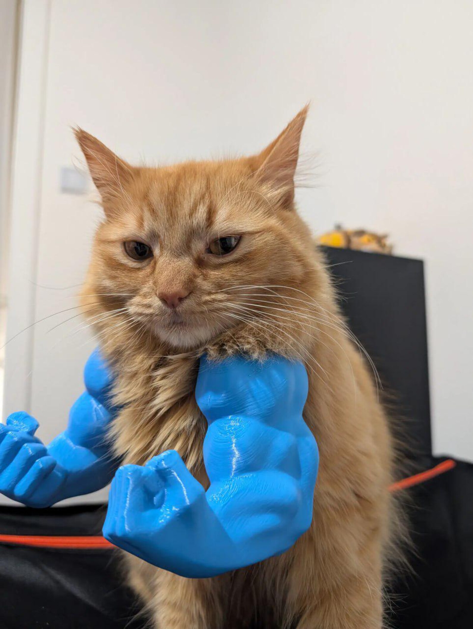 Hulk Pet Costume – Funny 3D Printable Muscular Arms (STL File) - Etsy