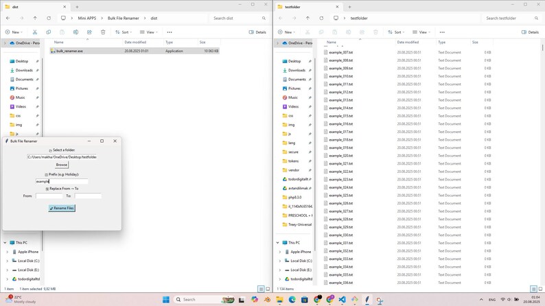 Bulk File Renamer - Windows App, Batch Rename, Add Prefix (EXE) - Etsy