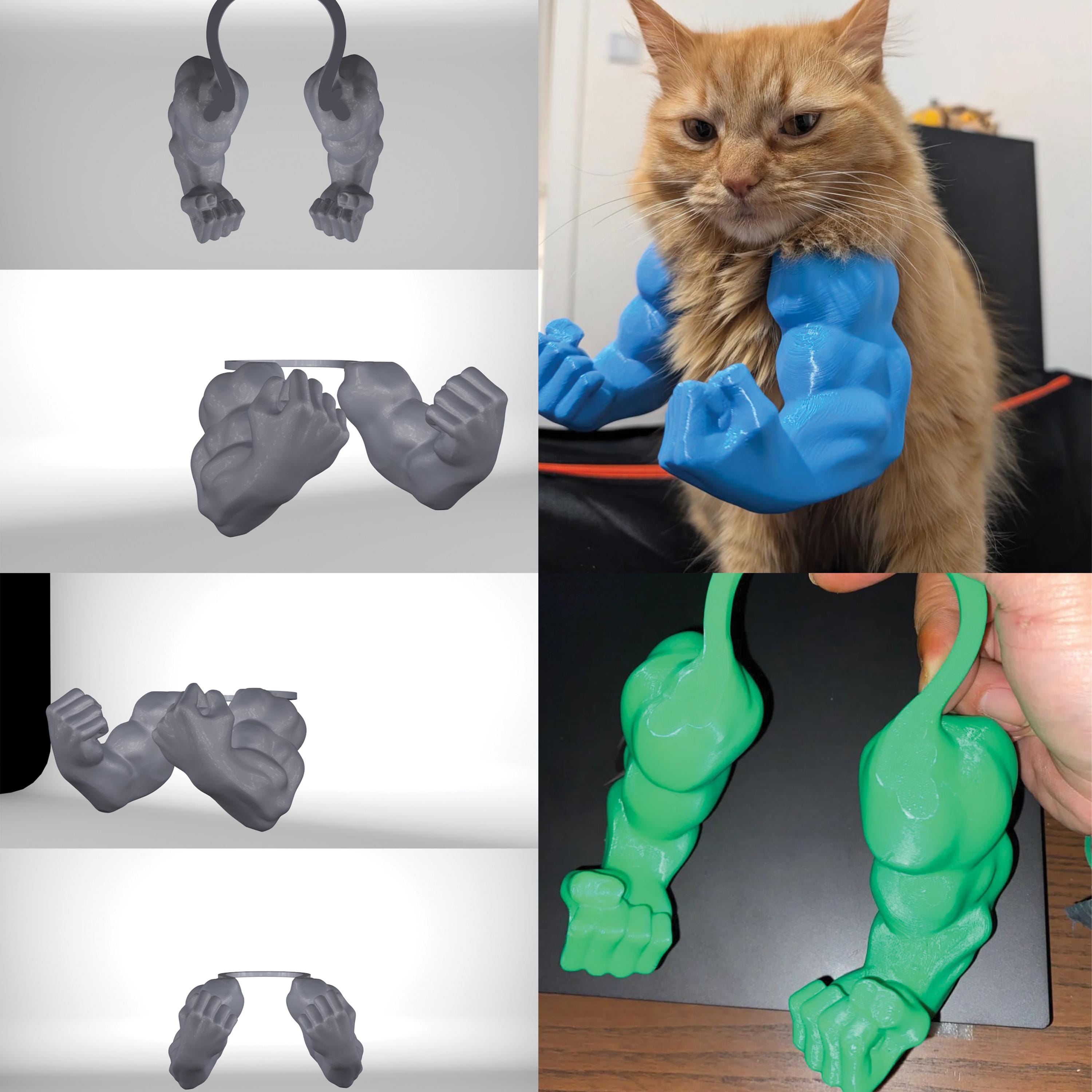 Funny Hulk Cat or Chicken Muscular Arms – 3D Printable STL Costume for ...