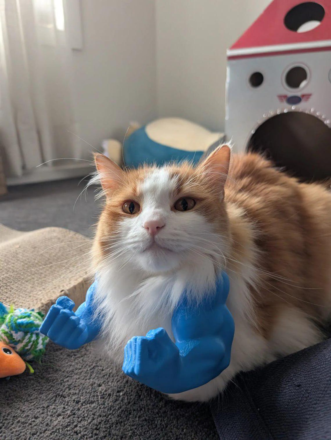 Hulk Pet Costume – Funny 3D Printable Muscular Arms (STL File) - Etsy