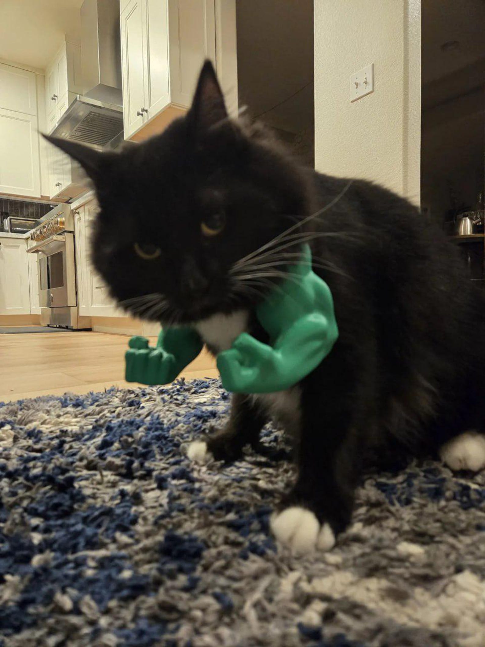 Hulk Pet Costume – Funny 3D Printable Muscular Arms (STL File) - Etsy