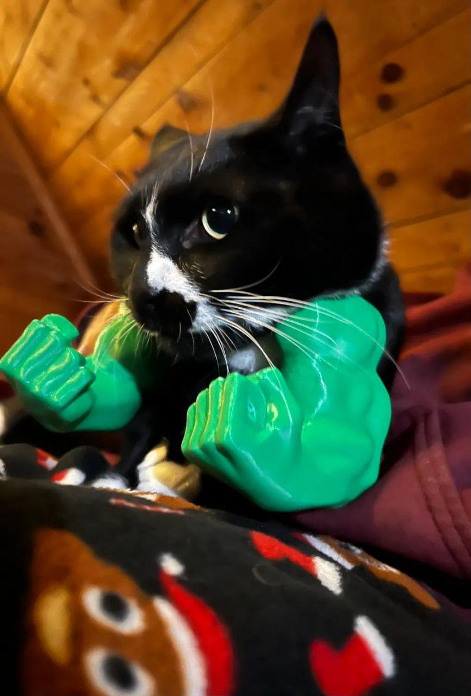 Funny Hulk Cat or Chicken Muscular Arms – 3D Printable STL Costume for ...