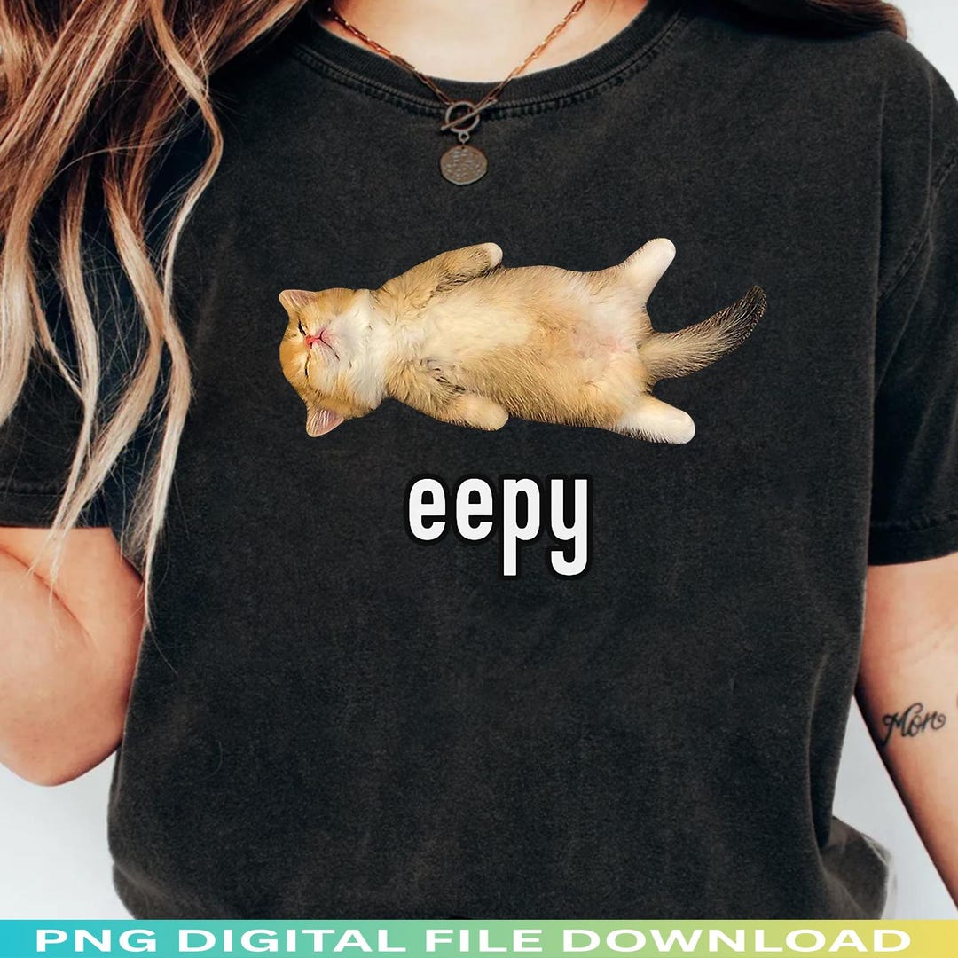 Sleepy Cat Meme PNG, Eepy Cat Silly Cute Humor Sublimation, Digital ...