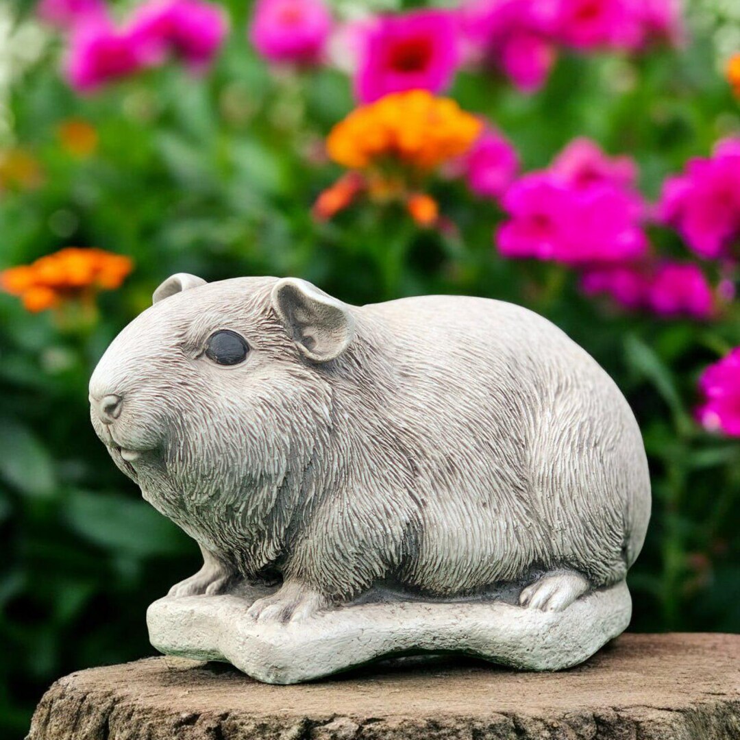 Concrete Guinea Pig Statue Stone Pet Figurine Cement Guinea Pig ...