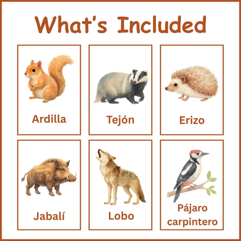 Spanish Woodland Animals Flashcards | Animales Del Bosque En Español ...