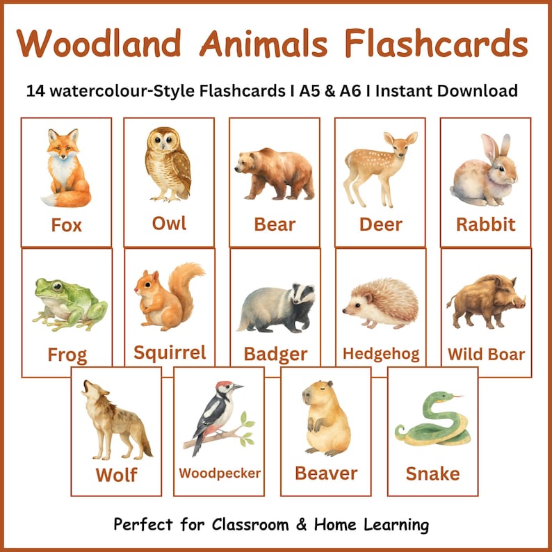 Woodland Animals Flashcards Printable | Preschool Nature Cards | Forest ...