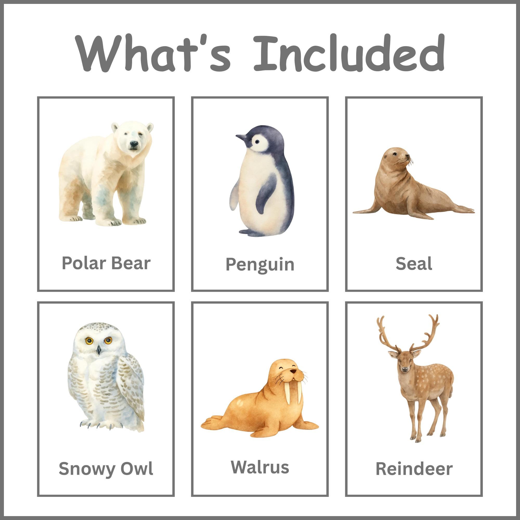 Arctic Animals Flashcards | Watercolour Printable Preschool Cards ...
