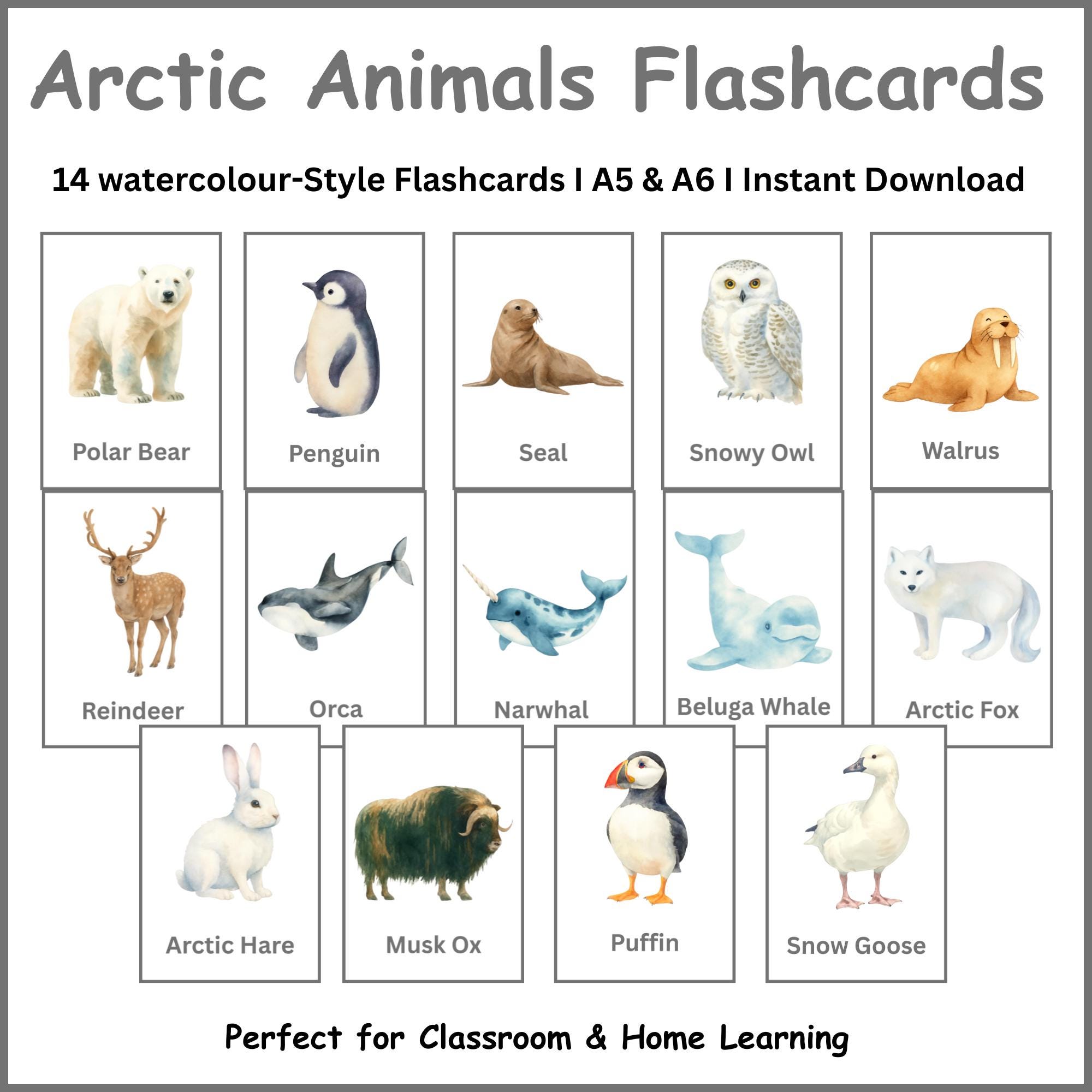 Arctic Animals Flashcards | Watercolour Printable Preschool Cards ...