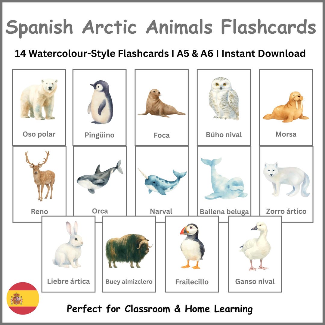 Spanish Arctic Animals Flashcards | Animales Del Ártico En Español ...