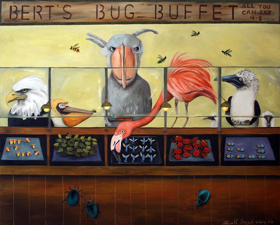Bert's Bug Buffet - Etsy