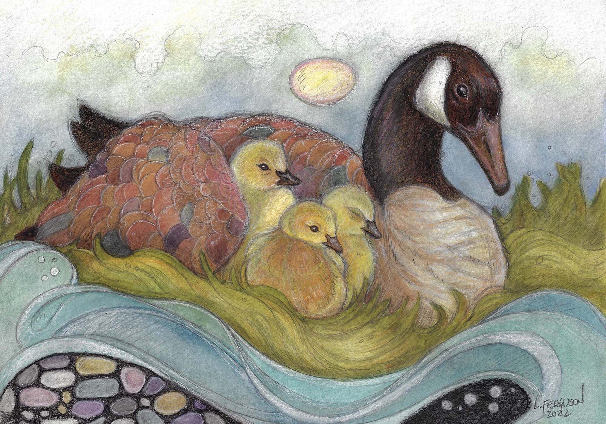 Sounds of Spring by Lisa Ferguson....blank Card....canadian Goose ...