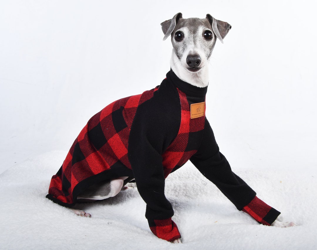 Whippet Buffalo Plaid Red/black T-shirt Pajamas Dog Pajamas Greyhound ...